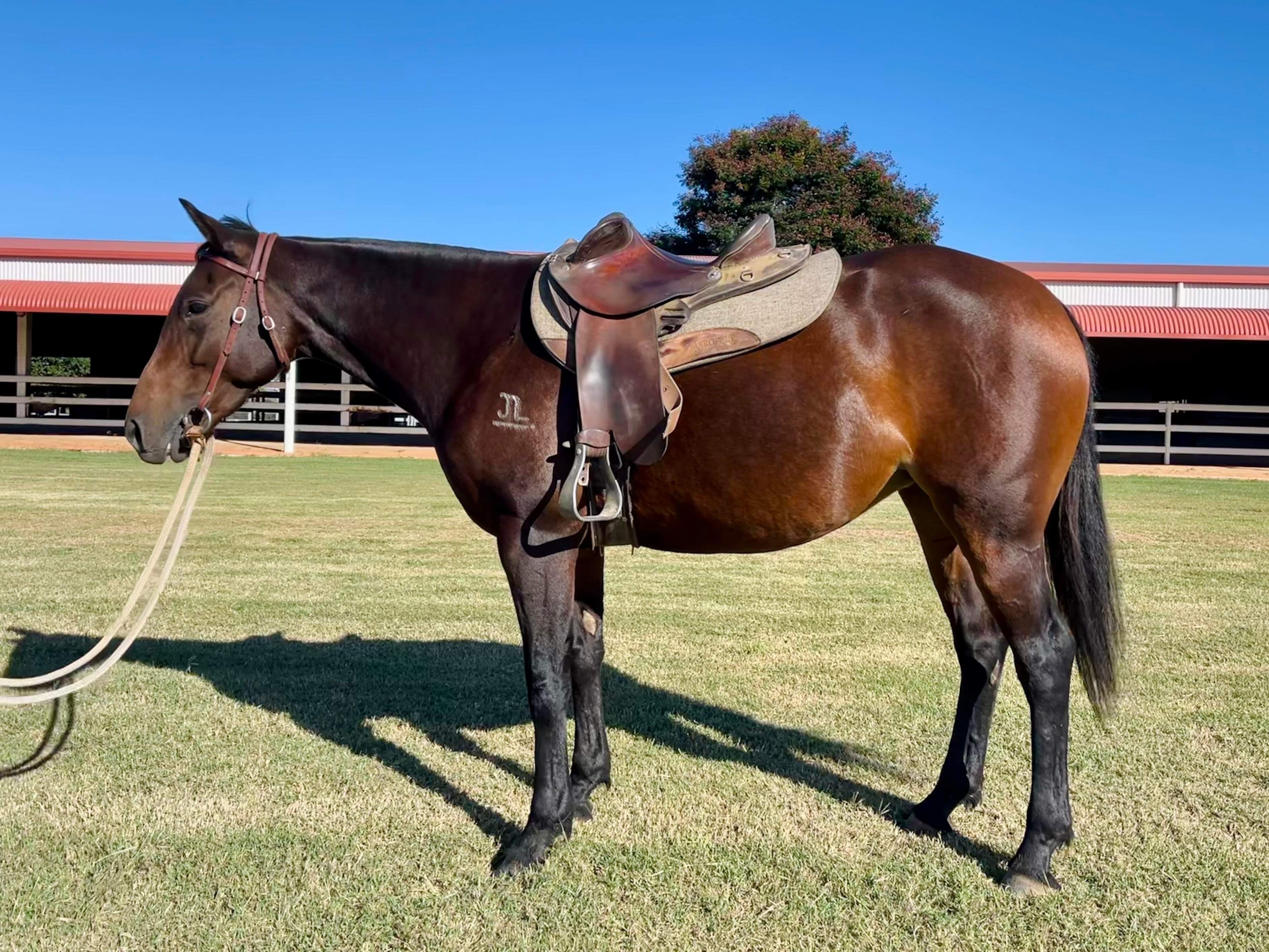 Nutrien Live - Catalogue Lot