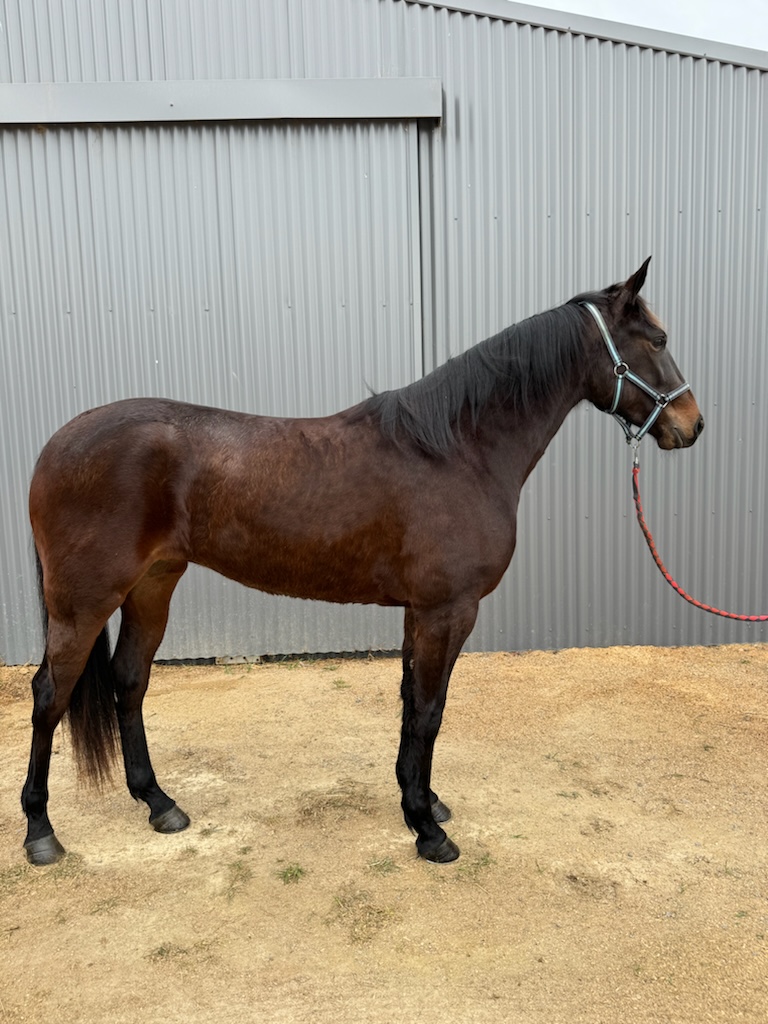 Nutrien Live - Catalogue Lot