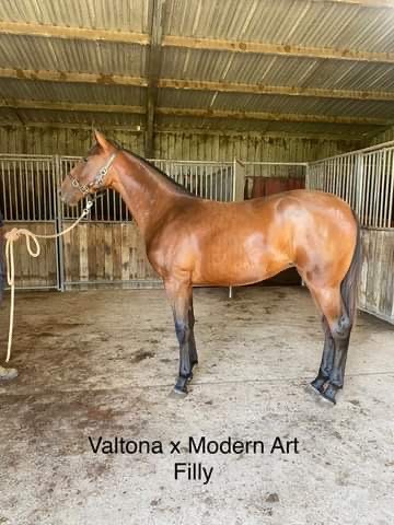 Nutrien Live - Catalogue Lot