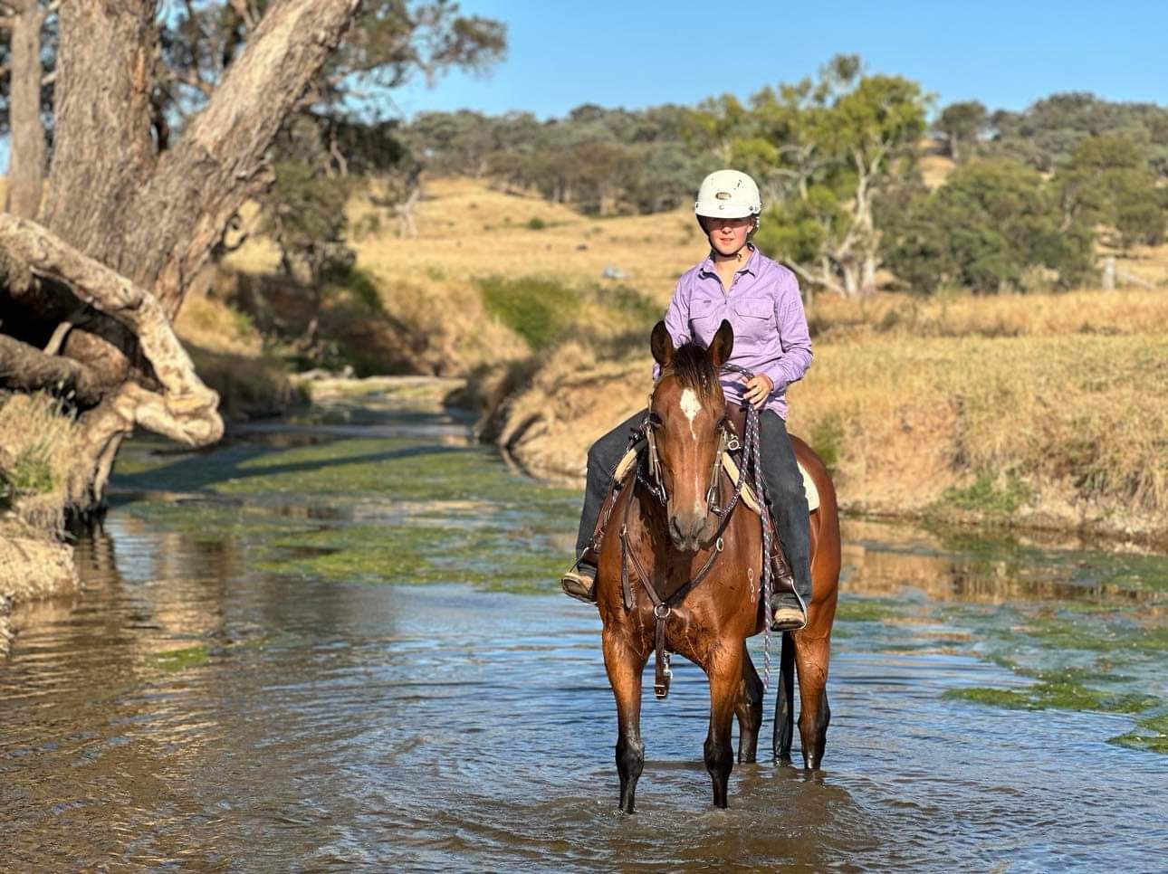 Nutrien Live - Catalogue Lot