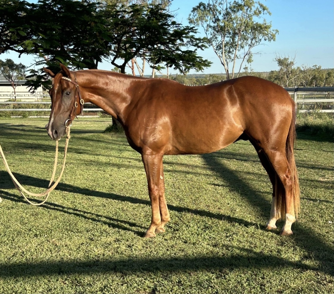 Nutrien Live - Catalogue Lot