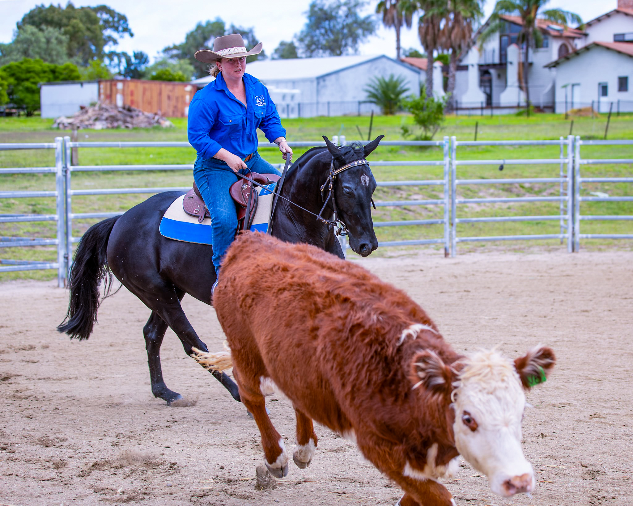 Nutrien Live - Catalogue Lot