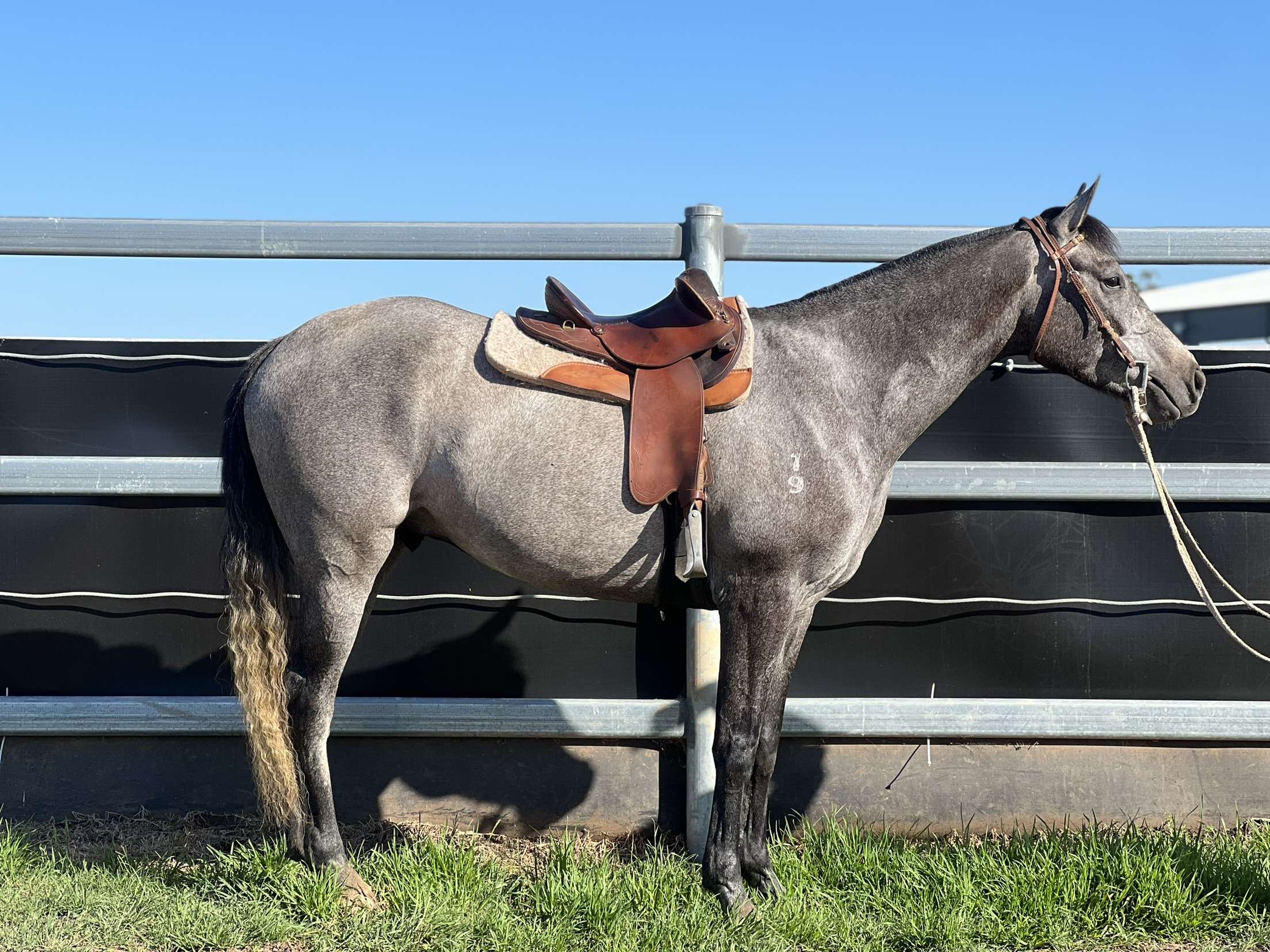 Nutrien Live - Catalogue Lot