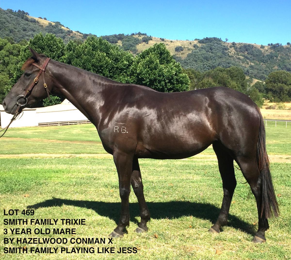 Nutrien Live - Catalogue Lot