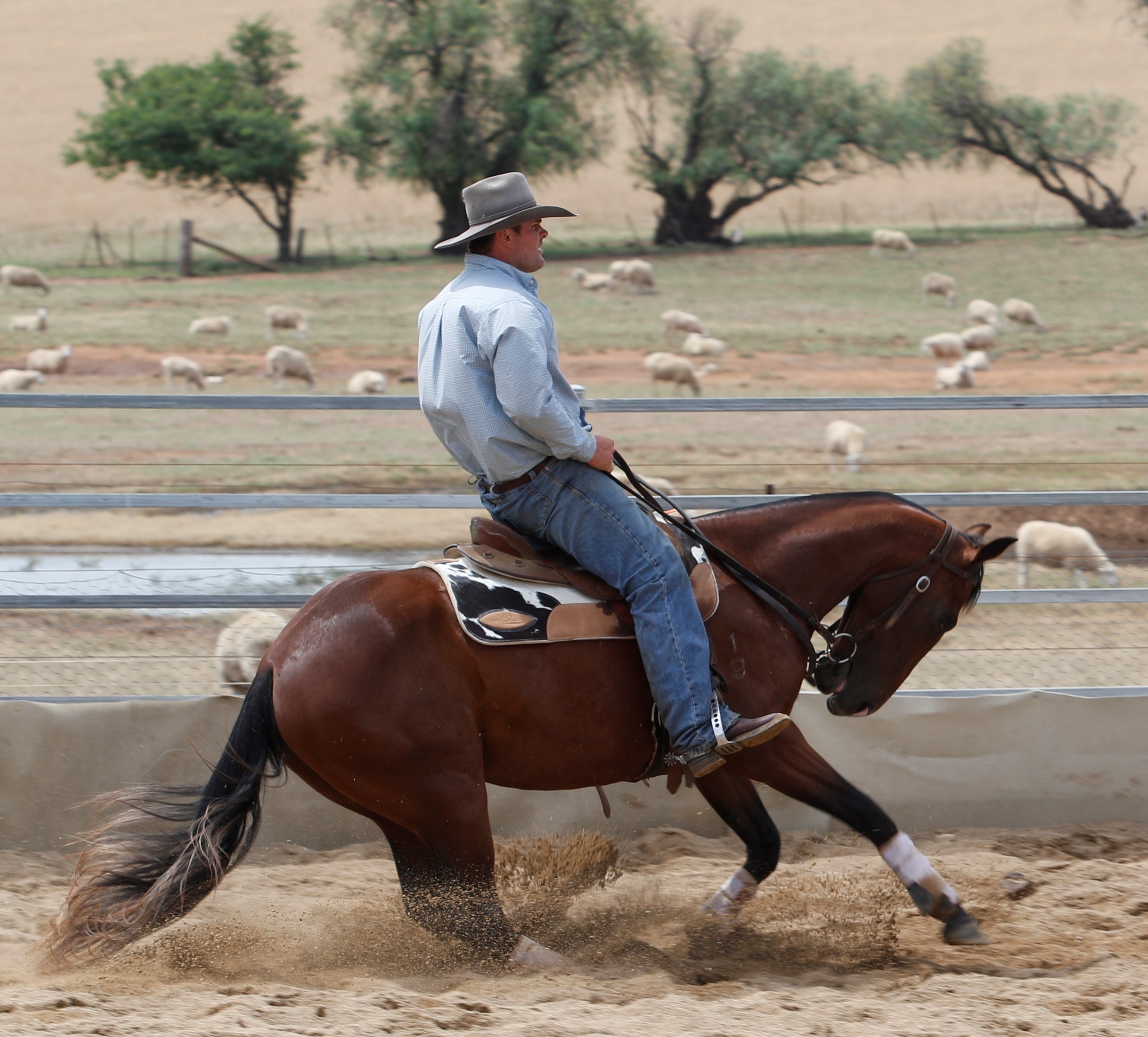 Nutrien Live - Catalogue Lot