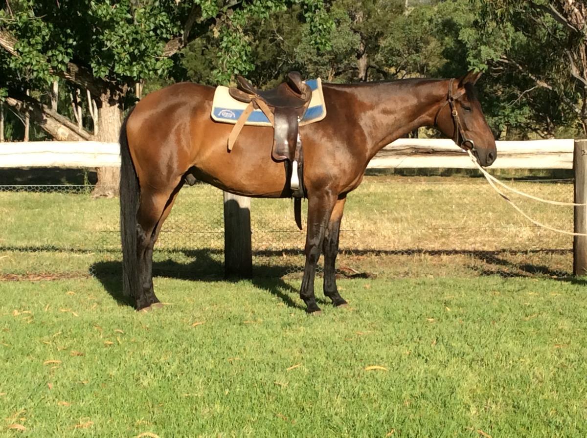 Nutrien Live - Catalogue Lot