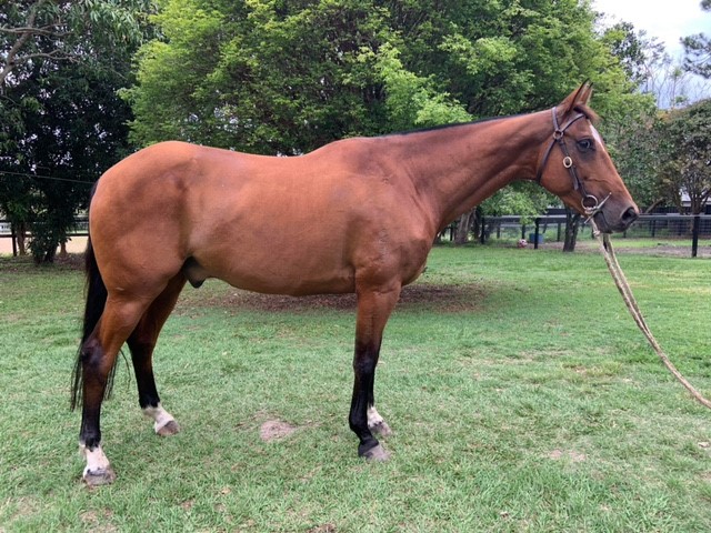 Nutrien Live - Catalogue Lot