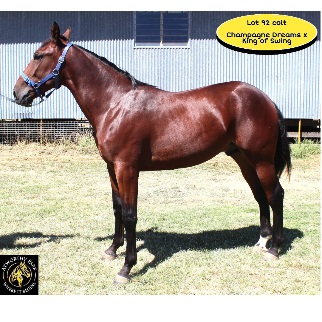 Nutrien Live - Catalogue Lot