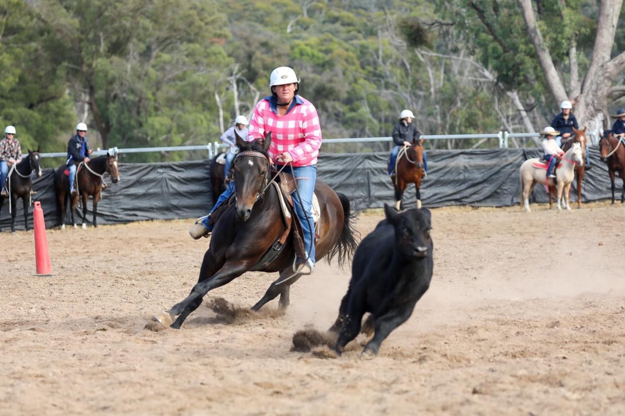 Nutrien Live - Catalogue Lot