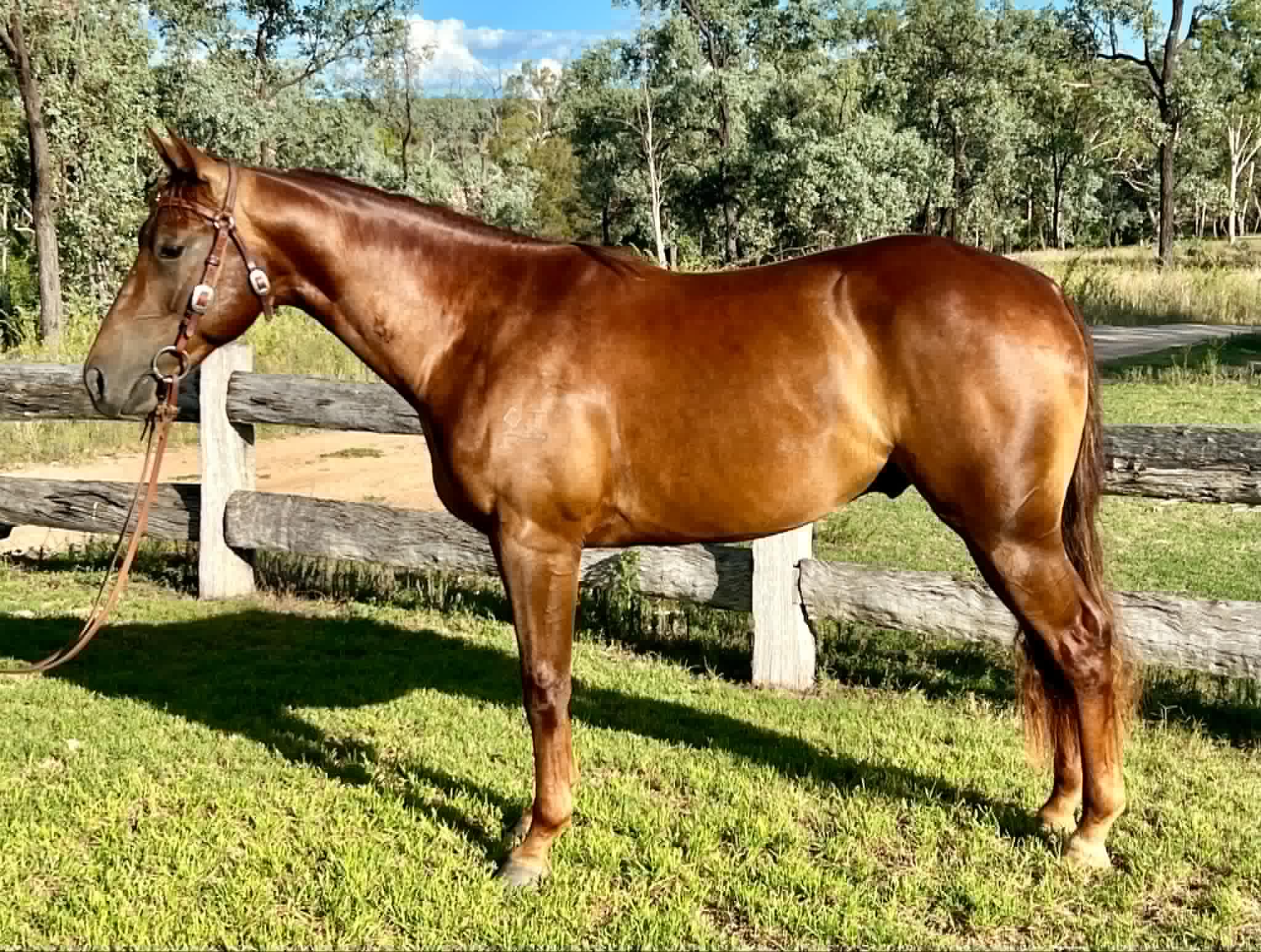 Nutrien Live - Catalogue Lot