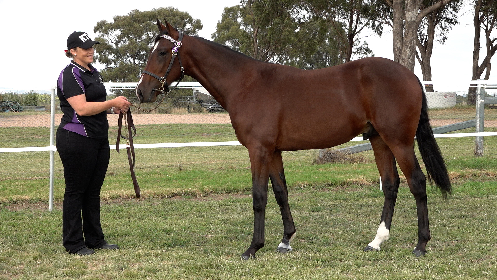 Nutrien Live - Catalogue Lot