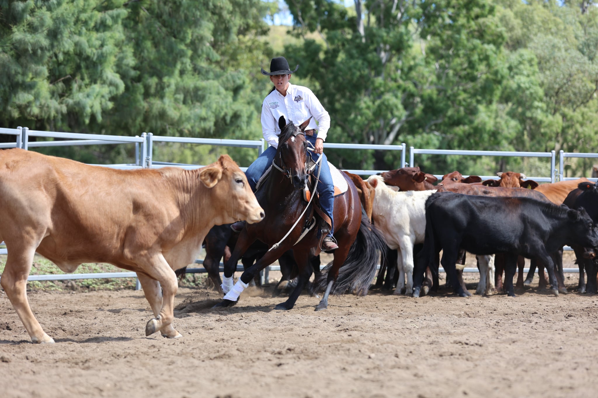 Nutrien Live - Catalogue Lot