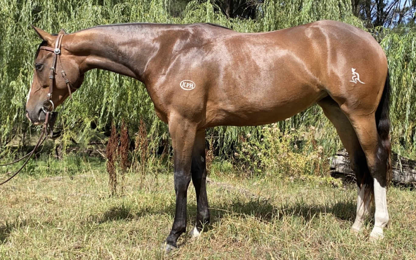 Nutrien Live - Catalogue Lot