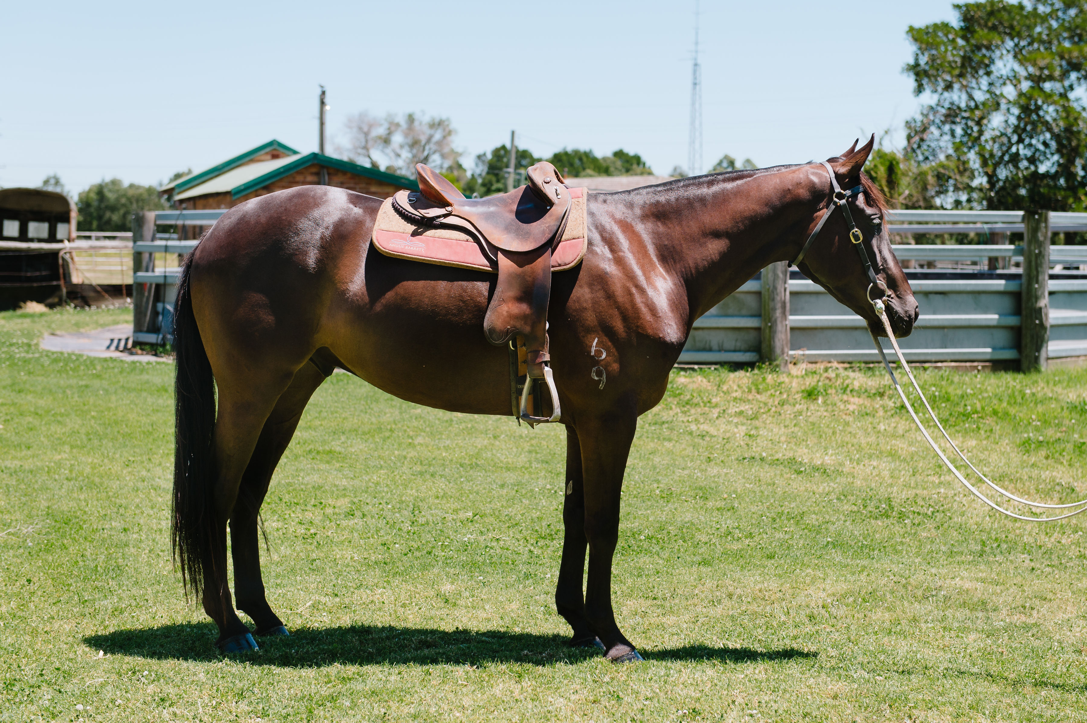 Nutrien Live - Catalogue Lot