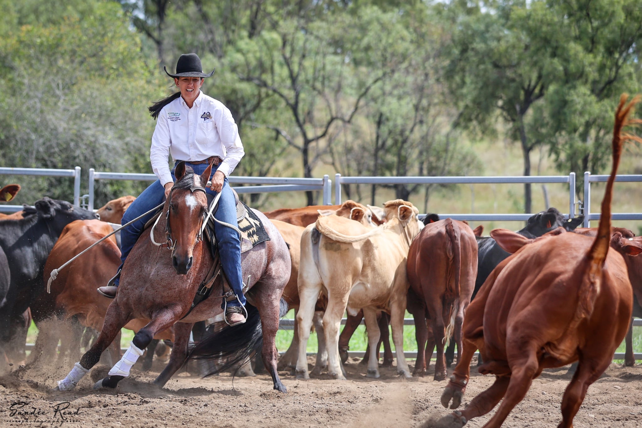 Nutrien Live - Catalogue Lot