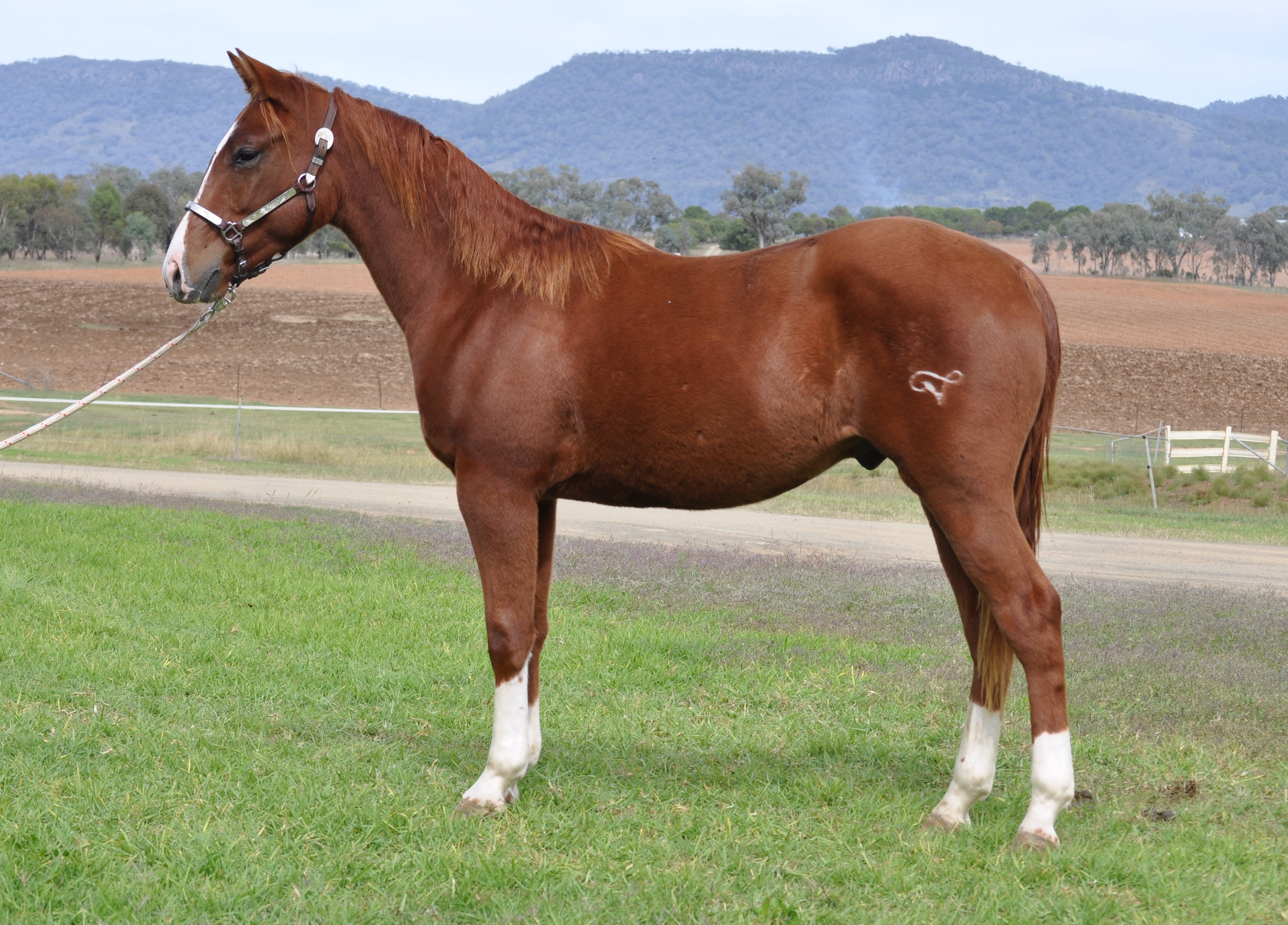 Nutrien Live - Catalogue Lot