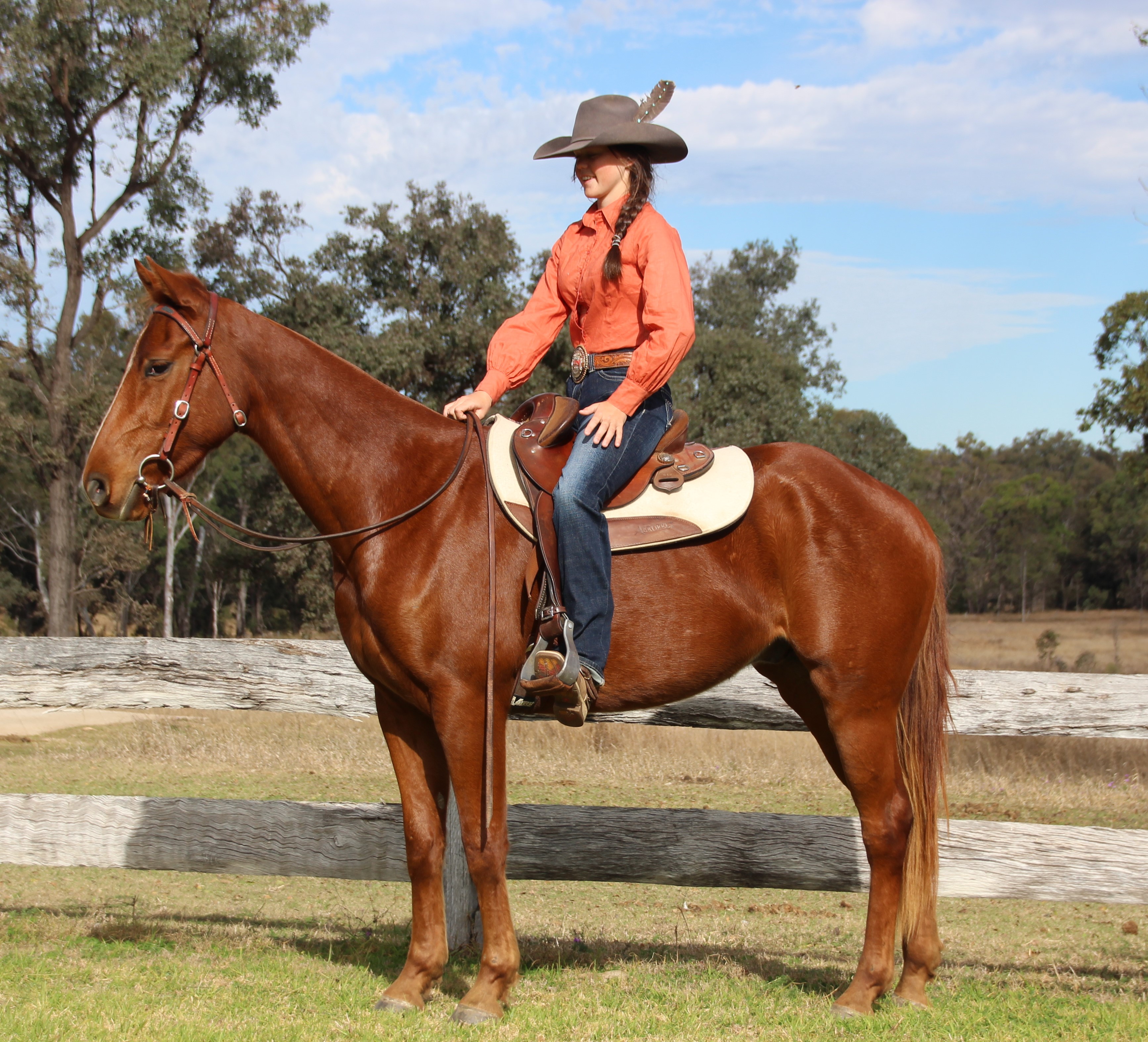 Nutrien Live - Catalogue Lot