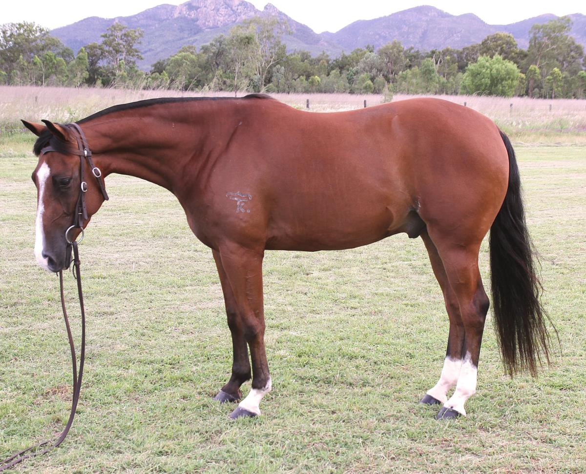 Nutrien Live - Catalogue Lot