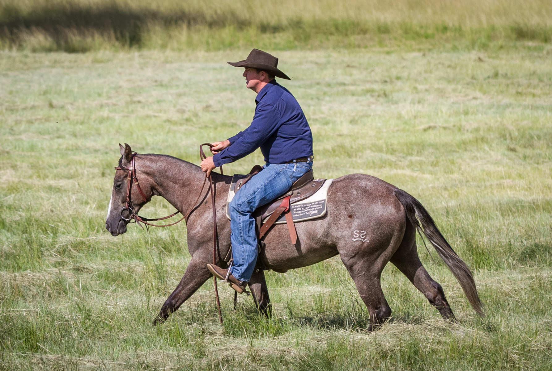 Nutrien Live - Catalogue Lot