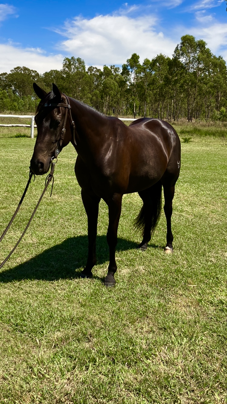 Nutrien Live - Catalogue Lot