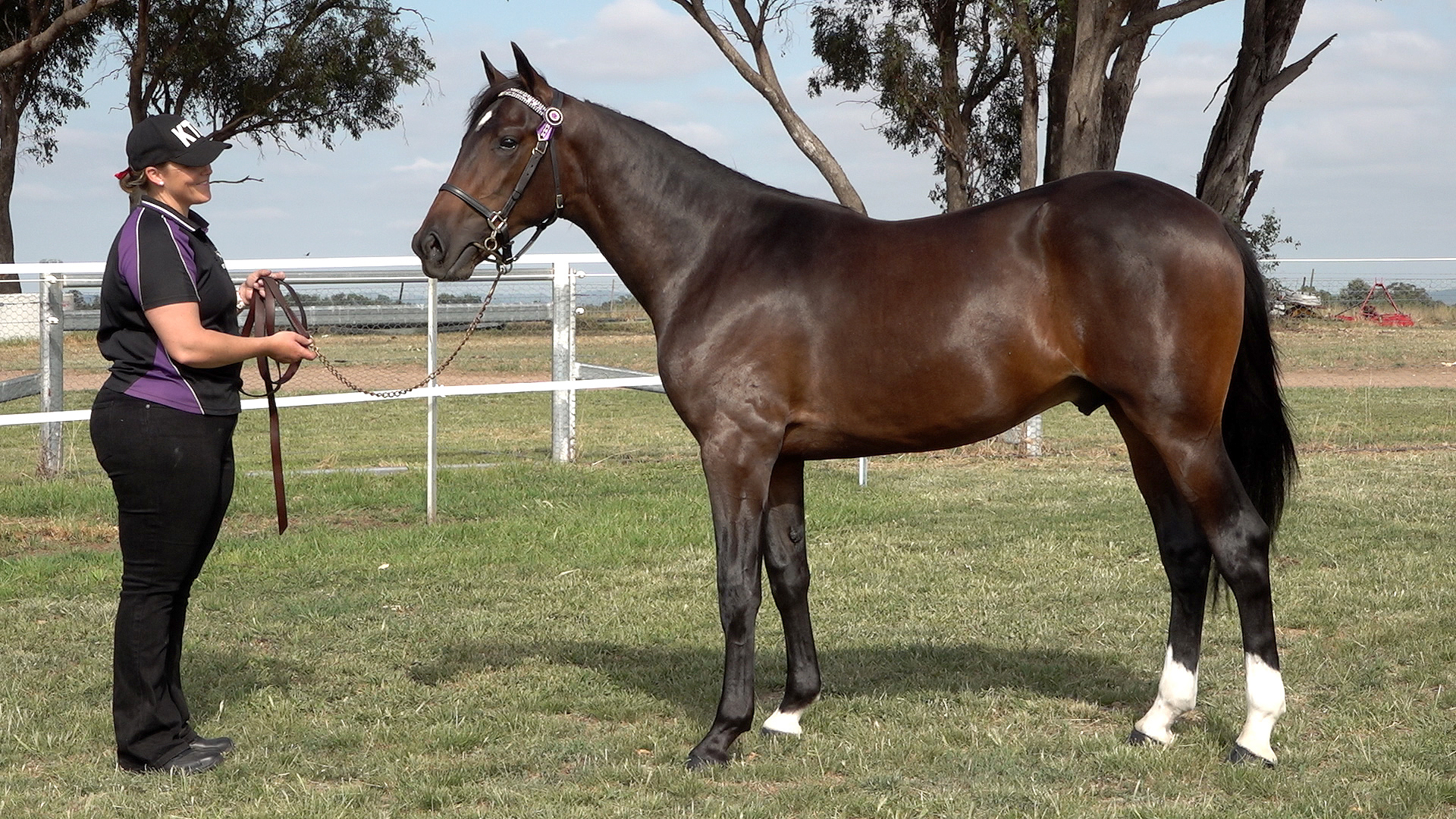 Nutrien Live - Catalogue Lot