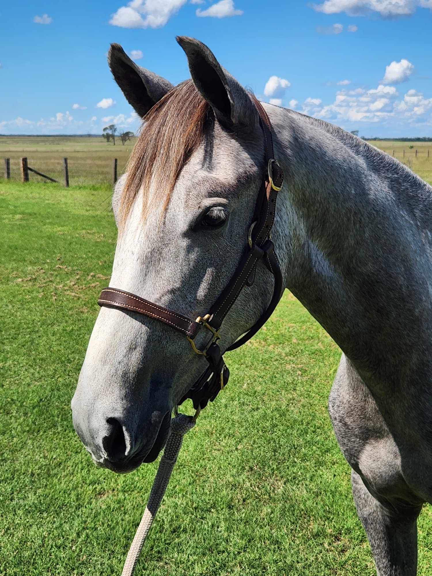 Nutrien Live - Catalogue Lot