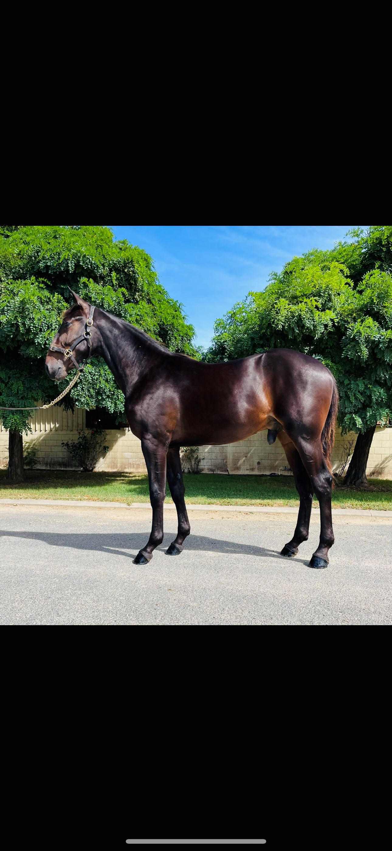 Nutrien Live - Catalogue Lot