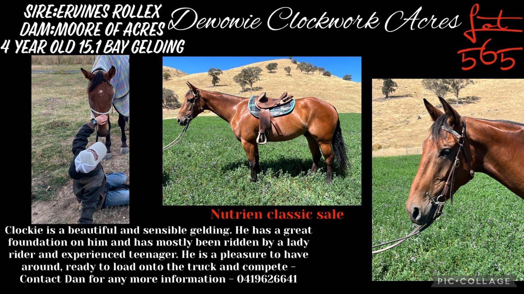 Nutrien Live - Catalogue Lot