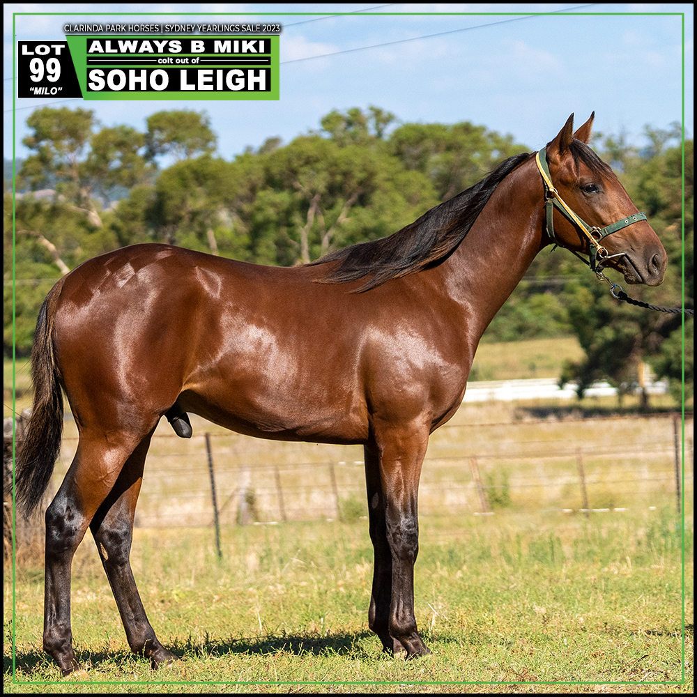 Nutrien Live - Catalogue Lot