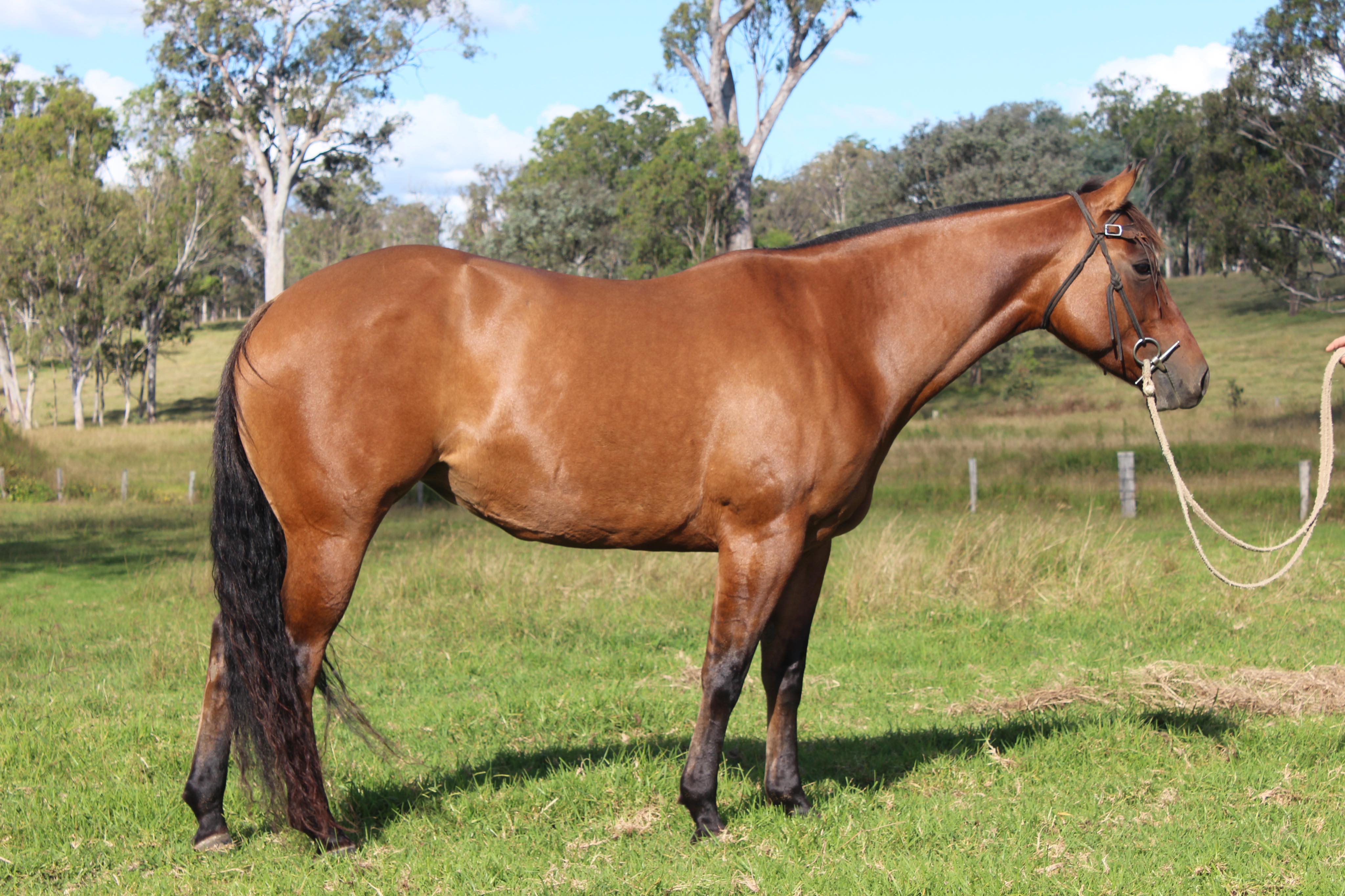 Nutrien Live - Catalogue Lot