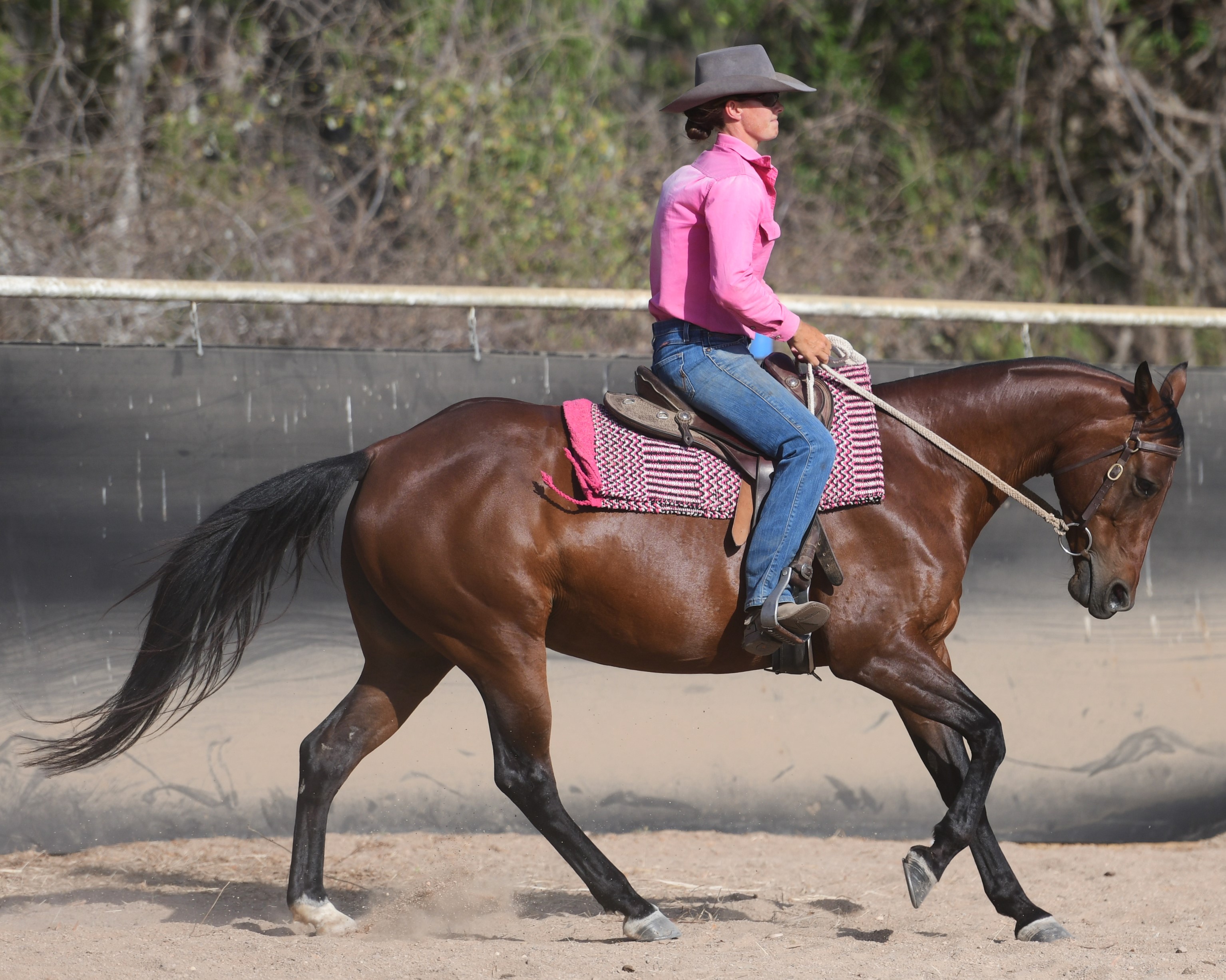 Nutrien Live - Catalogue Lot