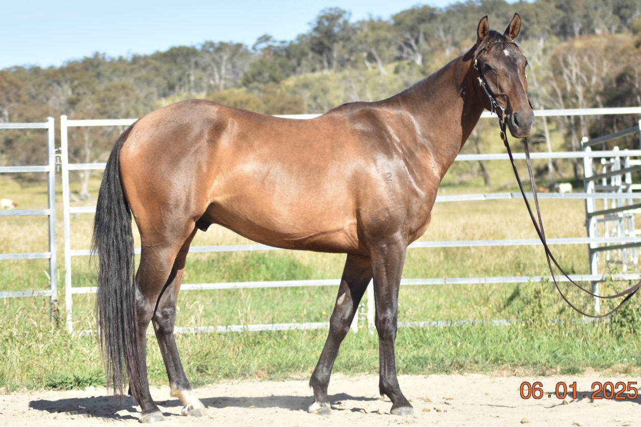 Nutrien Live - Catalogue Lot