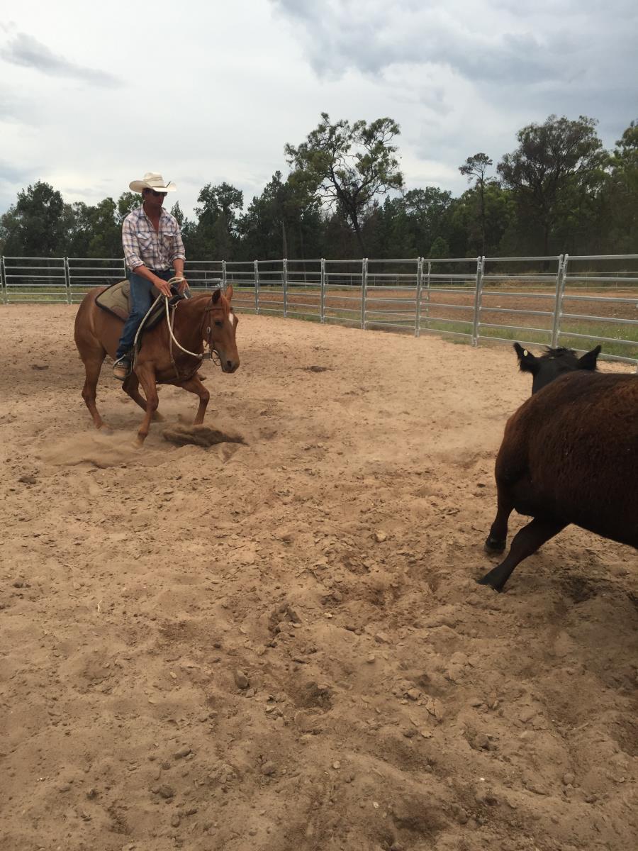 Nutrien Live - Catalogue Lot