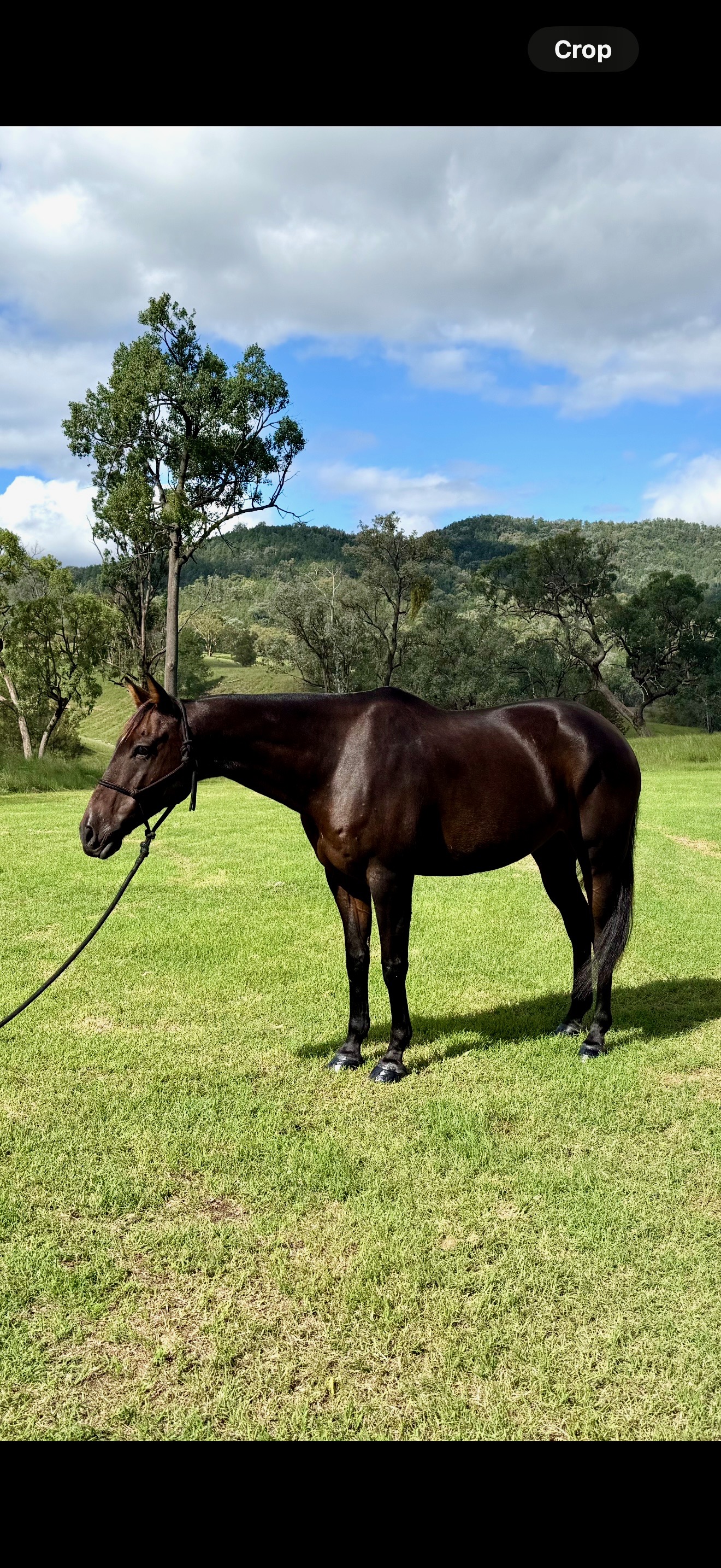 Nutrien Live - Catalogue Lot